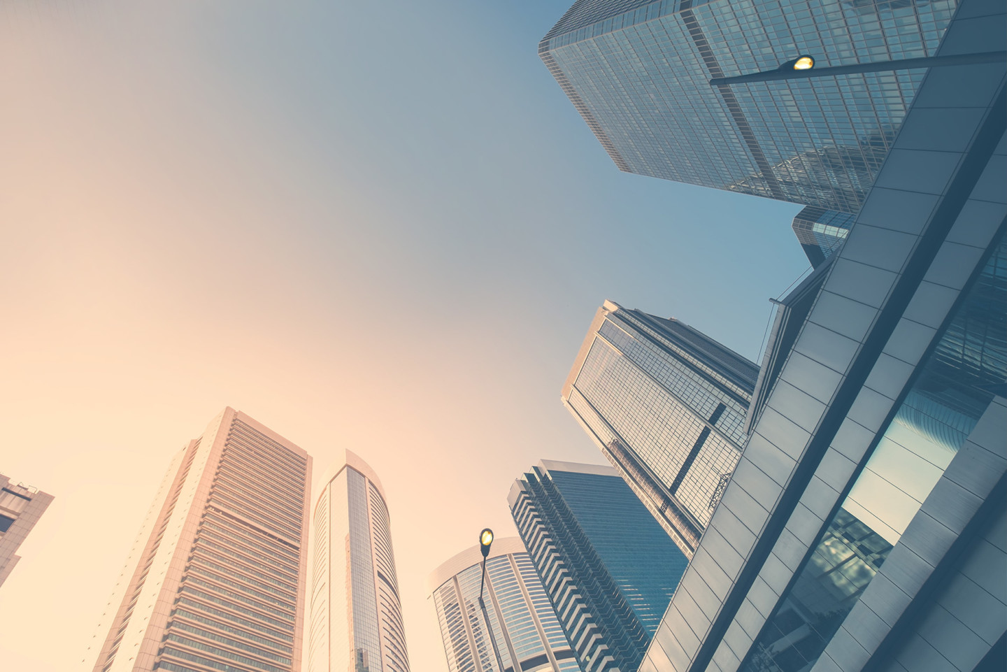 FMP Global Case Study | Our Work | MRS Digital